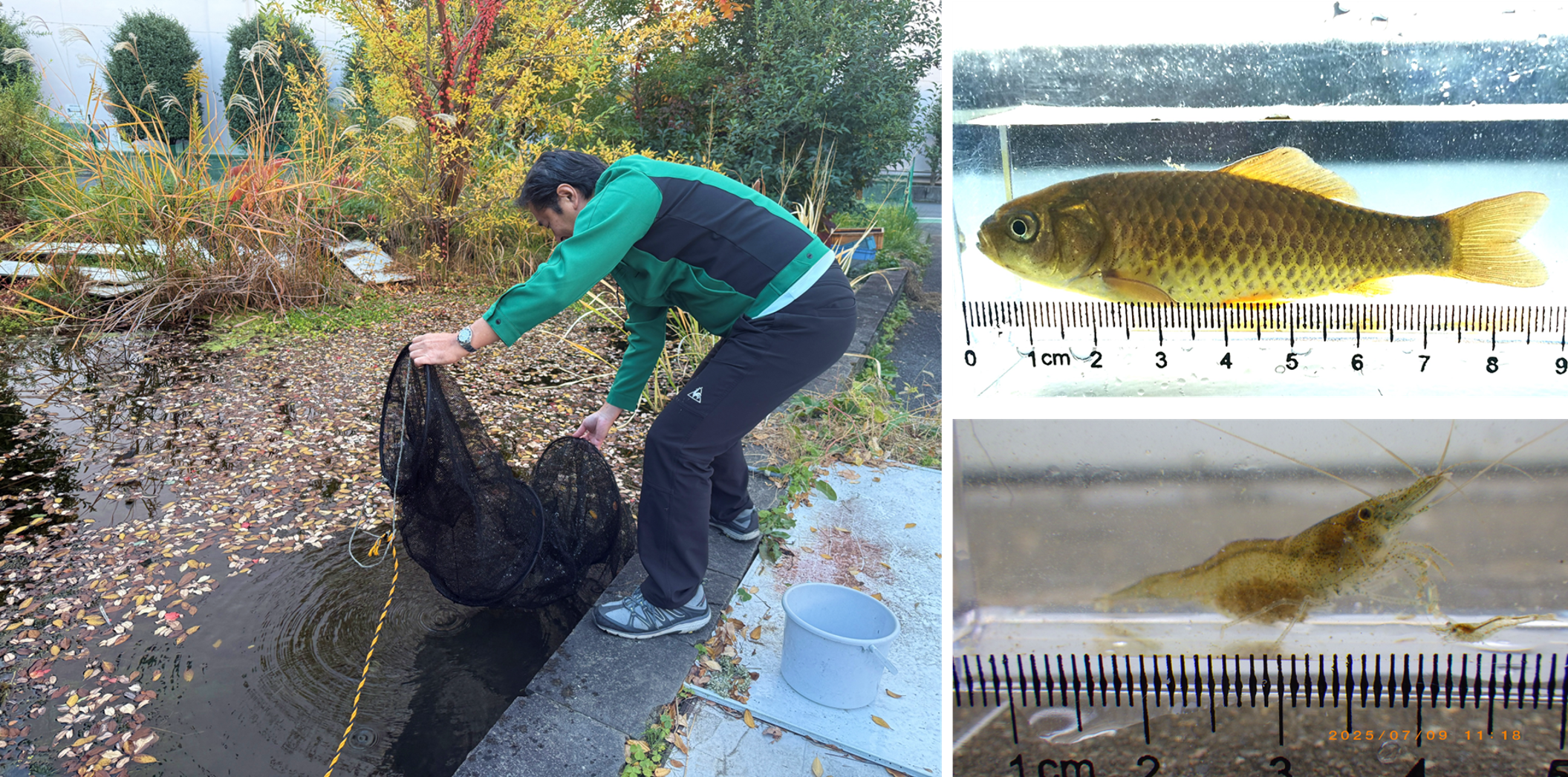 Asaka Plant Receives Recognition for Nationally Certified Sustainably ...